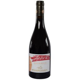 Le Chai de la Louve Mâcon rouge Anfora Gamay 2023 Trocken - Burgund – Rotwein AOP