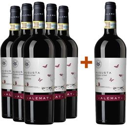 Alemat 5+1 Paket Augusta d'Asti Superiore Barbera 2019 Trocken - Piemont &ndash; Probierpaket DOCG