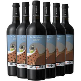 Santamarja Wines Il Grillaio Salento Primitivo 2024 Trocken - Apulien &ndash; Probierpaket IGP