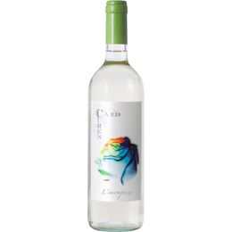 Ca ed Curen L&acute;incompreso Moscato Bianco Trocken - Mango Langhe Piemont &ndash; Wei&szlig;wein Vino Generico