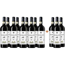 Alemat 9+3 Paket Barbacr&ograve; Vino Rosso Cuv&eacute;e 2023 Trocken - Piemont &ndash; Probierpaket Generico