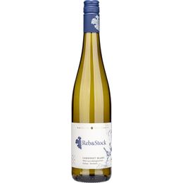 Weingut Hofl&ouml;&szlig;nitz Weingut Hofl&ouml;&szlig;nitz Reb&Stock Cabernet Blanc 2024 Feinherb - Sachsen &ndash; Wei&szlig;wein Deutscher Wein