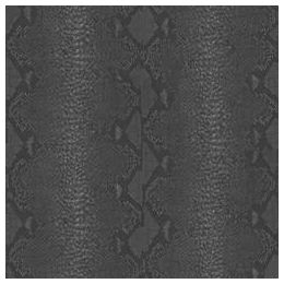 Vliestapete SUPERFRESCO EASY "SUPERFRESCO EASY Schlange Grau", grau, B:0,52m L:10,05m, Vlies, Tapeten, SUPERFRESCO EASY Schlange Grau