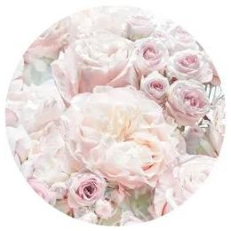 Fototapete Komar "Vlies selbstklebend - Pink and Cream Roses - Größe 125 x 125 cm", rosa (rosa, weiß), B:125 L:125, Vlies, Tapeten, Wohnzimmer, Schlafzimmer