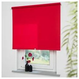 Springrollo Liedeco "Uni" Gr. 1, rot (dunkelrot, bitte auswählen), B:212cm H:180cm, Kunststoff, Metall, Polyester, Rollos, Rollowelle 36 mm, starke Feder
