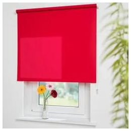 Seitenzugrollo Liedeco "Uni" Gr. 3, rot (dunkelrot, bitte auswählen), B:232cm H:180cm, Kunststoff, Metall, Polyester, Rollos, Welle 36 mm stabiler Kettenzug