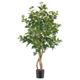 Kunstpflanze Creativ green "Ficus benjamina", grün, H:110cm, Kunststoff, Kunstpflanzen, mit sehr naturgetreu gestalteten Blättern