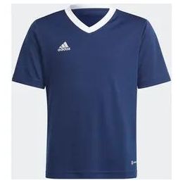 Fußballtrikot Adidas PERFORMANCE "ENT22 JSY Y", Kinder, Gr. 152, blau (team navy blau 2), Obermaterial: 100% Polyester, V-Ausschnitt, Trikots