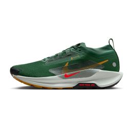 Nike Pegasus Trail 5 GTX Herren