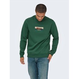 Only & Sons Only & Sons Sweatshirt 'ONSCONNOR' Herren Gr&ouml;&szlig;e XXL ecru / marine / gr&uuml;n