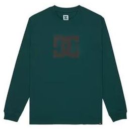 Langarmshirt DC Shoes "DC Star Hls", Herren, Gr. L, ponderosa pine, 75% Baumwolle, 25% Baumwolle, Shirts