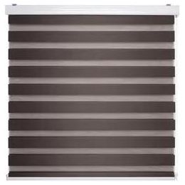 Doppelrollo Liedeco "Duo-Rollo mit Blende" Gr. 1, braun (espresso), B:100cm H:160cm, Polyester, Rollos