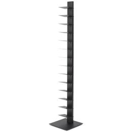 Regal Sapiens Anthrazit /