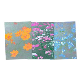 Herr & Frau Rio Postkarten-Set Riso Blumenwiese