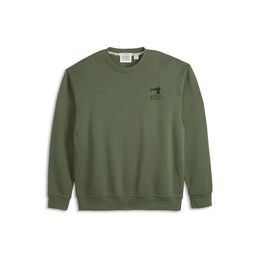Scotch & Soda Scotch & Soda Sweatshirt in Khaki - 57% | Größe XL | Herren-plussize
