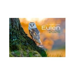 Heel Verlag Kalender - Eulen Kalender 2026 | Gr.: onesize