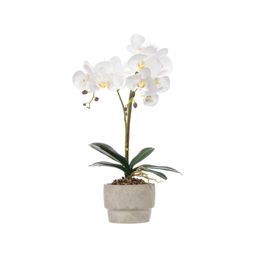 IBERGARDEN K&uuml;nstliche Orchidee in mehrfarben | Gr.: onesize