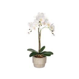 IBERGARDEN Künstliche Orchidee in mehrfarben | Gr.: onesize