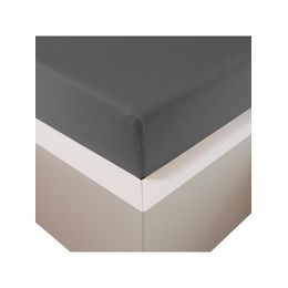 Traumschloss Premium Plus Edel-Jersey Spannbettlaken in anthrazit | Gr.: 180x200 cm - 200x220 cm