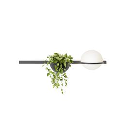 Vibia Palma 3702 Wandleuchte Grafit matt
