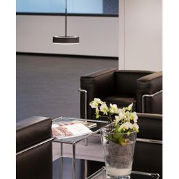 Bega 50971.5K4 Pendelleuchte Smart Samtschwarz/Baldachin Schwarz Dali