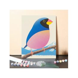 ARTNANAS DIY Malen nach Zahlen Set-"Buntvogel" | Gr.: 40x50 mit Rahmen