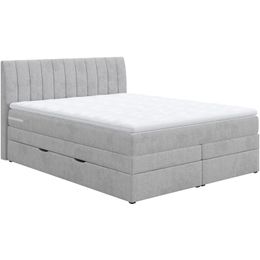 Boxspringbett COTTA "Shark inkl. Bettkasten und Topper", grau (argent), B:186cm L:212cm, 100% POLYESTER (PES), Komplettbetten, erhältlich in den Breiten 140x200cm, 160x200cm und 180x200cm, Topseller