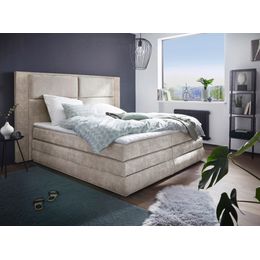 Boxspringbett Collection AB "Copenhagen", grau (silbergrau), B:231cm L:215cm, Holzwerkstoff, Spanplatte, Komplettbetten, inklusive Bettkasten, Topper, wahlweise mit LED-Beleuchtung