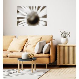 Wandsticker queence "The Sun", weiß, B:150cm H:90cm T:0,1cm, Folie, Wandtattoos, Selbstklebend, kinderleichte Anbringung