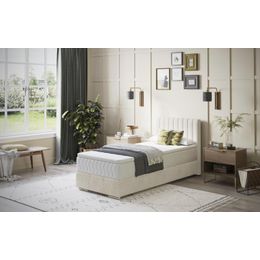 Boxbett Inosign "Thor mit Bettkasten, inkl. Matratze, Topseller", beige (stripes 8622 natur), B:96cm L:208cm, Komplettbetten, Boxspringbett, Topper und Zierkissen, in verschiedenen Härtegraden verfügbar