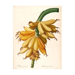 Bild Komar "Plantains", grün (farbe bild(er): grün, gelb), B:40cm H:50cm, Holz, Papier, Bilder, Wandbild zur Dekoration - ohne Rahmen
