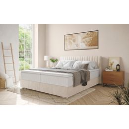 Boxbett Inosign "Thor mit Bettkasten, inkl. Matratze, Topseller", beige (stripes 8622 natur), B:186cm L:208cm, Komplettbetten, Boxspringbett, Topper und Zierkissen, in verschiedenen Härtegraden verfügbar