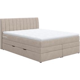 Boxspringbett COTTA "Shark inkl. Bettkasten und Topper", beige (natural), B:166cm L:212cm, 100% POLYESTER (PES), Komplettbetten, erhältlich in den Breiten 140x200cm, 160x200cm und 180x200cm, Topseller