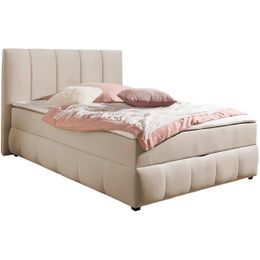 Boxbett Inosign "Hartley inkl. Bettkasten und Topper, auch in Überlänge erhältlich", beige, B:152cm L:230cm, Komplettbetten, Inkl. Bettkasten & Topper, wählbar in H2, H3 o. H4