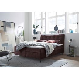 Boxbett ED EXCITING DESIGN "Melrose", lila (aubergine), B:162cm L:210cm, 100% Polyester, Komplettbetten, Boxspringbett, inkl. Topper