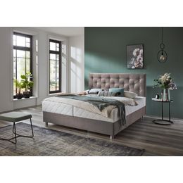 Boxbett "CELIA im hochwertiger Samtoptik", grau (taupe), B:162cm L:209cm, ATLANTIC HOME COLLECTION, Komplettbetten, mit Taschen-Federkernmatratze, Bettkasten und Strass-Steinen