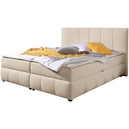 Boxbett Inosign "Hartley inkl. Bettkasten und Topper, auch in Überlänge erhältlich", beige, B:212cm L:230cm, Komplettbetten, Inkl. Bettkasten & Topper, wählbar in H2, H3 o. H4