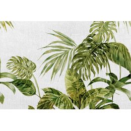 Fototapete ARCHITECTS PAPER "Atelier 47 Tropical Leaves Artwork 1", grau (hellgrau), B:4m L:2,7m, Vlies, Tapeten, Vlies, Wand, Schr&auml;ge, Decke