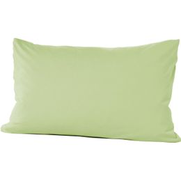Kissenbezug Primera "Primera Mako-Feinjersey Kissenbezug im Doppelpack", gr&uuml;n (limone), B:40cm L:60cm, Feinjersey, Obermaterial: 100% Baumwolle, Kissenbez&uuml;ge, Kissenbezug, In vielen Uni-T&ouml;nen