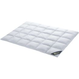 Daunenbettdecke Spessarttraum "Wildente Bettdecken 135x200cm & weitere Größen", silber (silberfarben), B:240cm L:220cm, Bezug: 100% Baumwolle. Füllung: 100% Daunen, Bettdecken, Bettdecken Ganzjahresbettdecke, Winter, Sommer