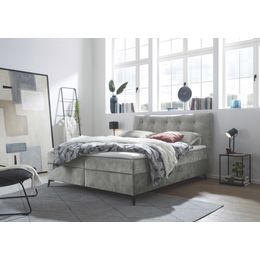 Boxbett ED EXCITING DESIGN "Melrose", grau, B:162cm L:210cm, 100% Polyester, Komplettbetten, Boxspringbett, inkl. Topper