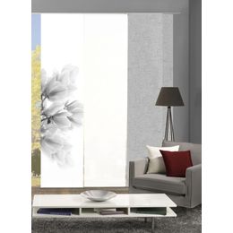 Schiebegardine Home Wohnideen "KESSI 3er SET" Gr. 1, grau, B:60cm H:245cm, Polyester, Gardinen, Schiebevorhang Digidruck 3er Set KESSI