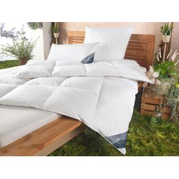 Häussling Daunenbettdecke HAEUSSLING "GRÖNLAND Made in Green", weiß, B:135cm L:200cm, Bezug: 100% Baumwolle. Füllung: 90% Entendaune, 10% Entenfeder, Bettdecken, hochwertiges Daunenprodukt" Made in Green" zertifiziert