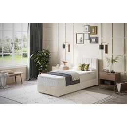 Boxbett Inosign "Thor mit Bettkasten, inkl. Matratze, Topseller", beige (stripes 8622 natur), B:96cm L:208cm, Komplettbetten, Boxspringbett, Topper und Zierkissen, in verschiedenen Härtegraden verfügbar
