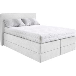Boxspringbett, wei&szlig;, B:155cm L:205cm, Microvelours (100% Polyester), Westfalia Schlafkomfort, Komplettbetten, Boxspringbett, wahlweise mit Kaltschaum-Topper, Topseller