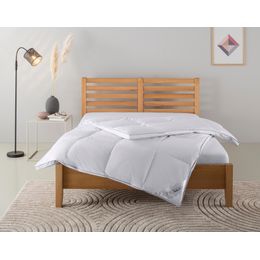Daunenbettdecke Home Affaire "Moulle, Bettdecke 135x200 cm und 155x220 cm", weiß, B:135cm L:200cm, Bezug: 100% Baumwolle. Füllung: 90% Daunen, 10% Federn, Bettdecken, Bettdecken, Sommer oder Winter, Decke, Made in Germany, atmungsaktiv