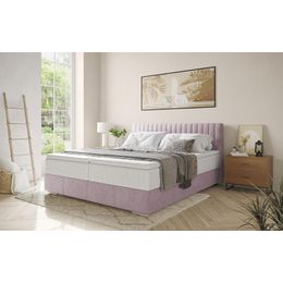 Boxbett Inosign "Thor mit Bettkasten, inkl. Matratze, Topseller", rosa (stripes 8626 flamingo), B:186cm L:208cm, Komplettbetten, Boxspringbett, Topper und Zierkissen, in verschiedenen Härtegraden verfügbar
