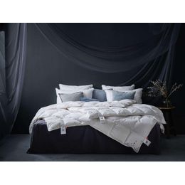 Daunenbettdecke UNIVERSE OF SLEEPING "Mercury, für Sommer & Winter, 135x200 & 155x220 cm, Made in Denmark", weiß, B:155cm L:220cm, Bezug: 100% Baumwolle. Füllung: 90% Entendaune, 10% Entenfeder, Bettdecken, Hochwertige Bettdecke, mit Downpass zertifiziert