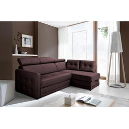 Ecksofa exxpo - SOFA FASHION "Arles, Federkern, OTTOs Choice, zeitlos, Breite 225cm, L-Form", braun (schoko), B:225cm H:94cm T:165cm, Kunstleder SOFTLUX;NaturLEDER (echtes Rindsleder) in Sitz und R&uuml;cken. Korpus in passendem Kunstleder SOFTLUX bezogen, Sofas, Ecksofa, wahlweise mit Bettfunktion und Bettkasten, inkl. Kopfteilverstellung