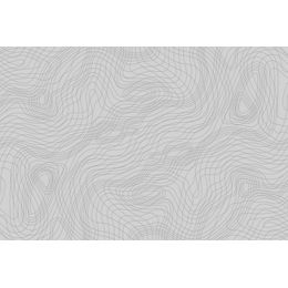 Fototapete ARCHITECTS PAPER "Atelier 47 Chaotic Lines 2", grau (hellgrau, dunkelgrau), B:4 L:2,7, Vlies, Tapeten, Vlies, Wand, Schräge, Decke